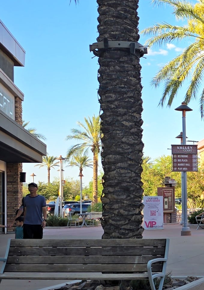 Fellow bargain hunters navigating their way through what can only be described as retail nirvana.