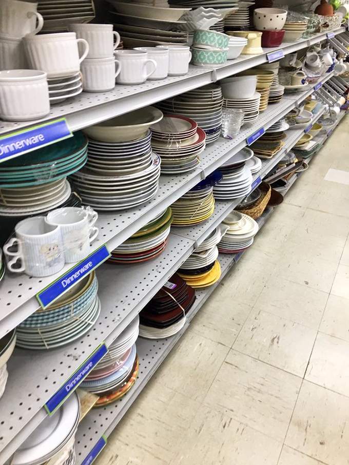 Dish-pocalypse! Enough plates, bowls, and mugs to host Thanksgiving dinner for your entire extended family—including those relatives you only see at weddings.