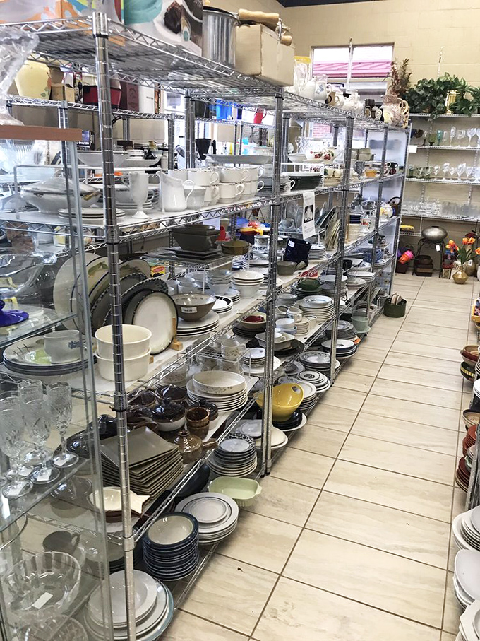 Grandmother's china has competition with these delicate patterns and gold-rimmed plates&mdash;ready to elevate your Tuesday night takeout to royal status.