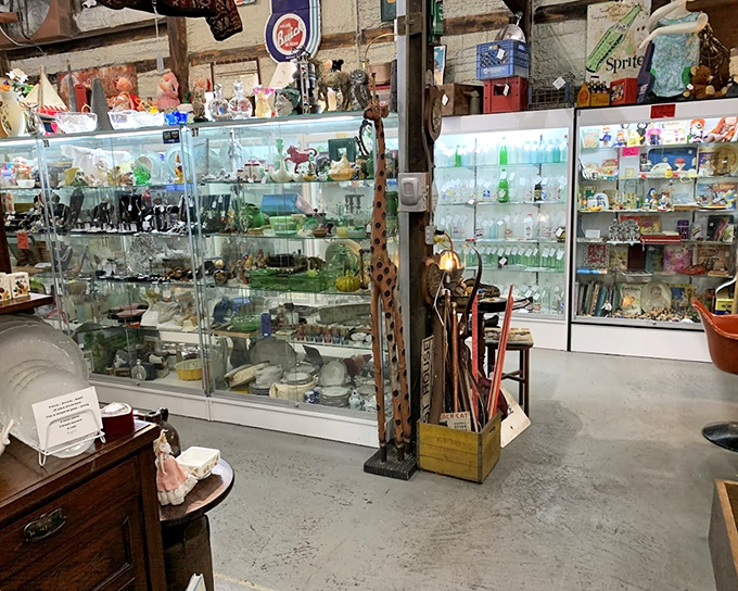 Glass cases protecting fragile memories&mdash;each shelf a museum where you're allowed to take the exhibits home.