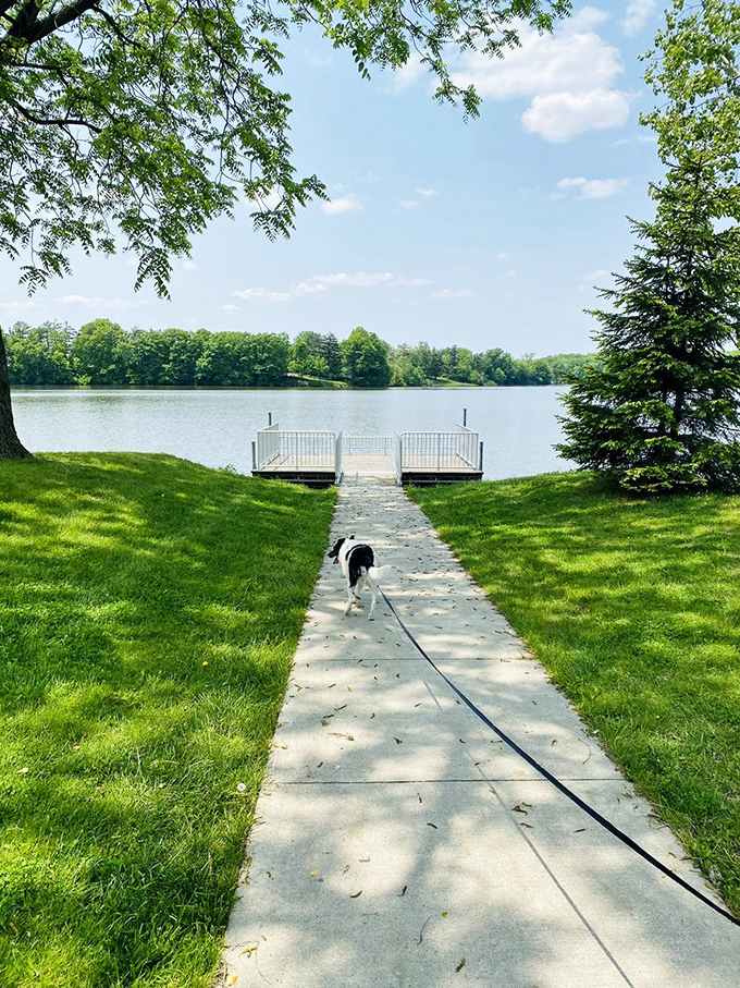 A perfect pathway to serenity—complete with four-legged tour guide. Some views are worth every step of the journey.