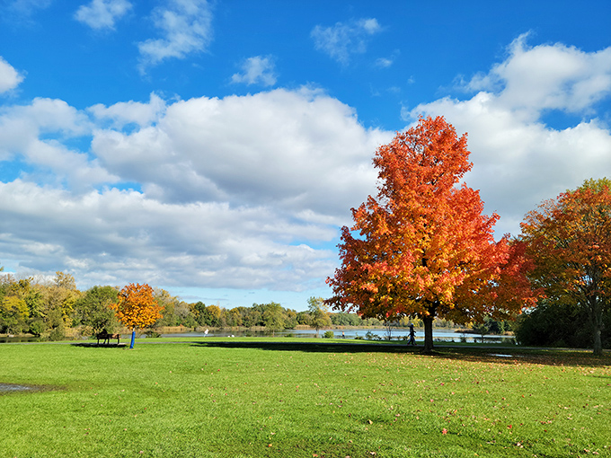 Fall foliage that rivals New England's best show, minus the six-hour flight and exorbitant B&B prices that require a second mortgage.