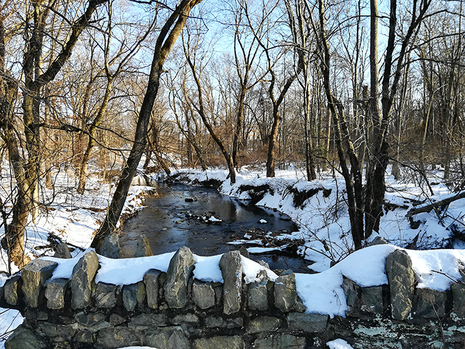 Winter transforms the park into a serene wonderland &ndash; the stream's gentle flow cutting through snow-covered banks.
