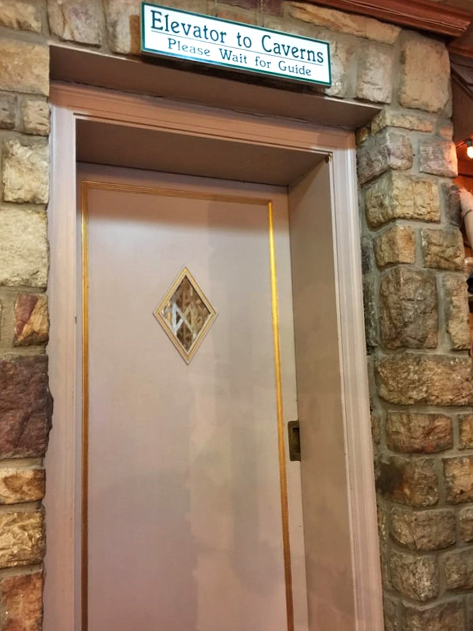 This unassuming elevator is actually a time machine, transporting you millions of years into Earth's artistic past.