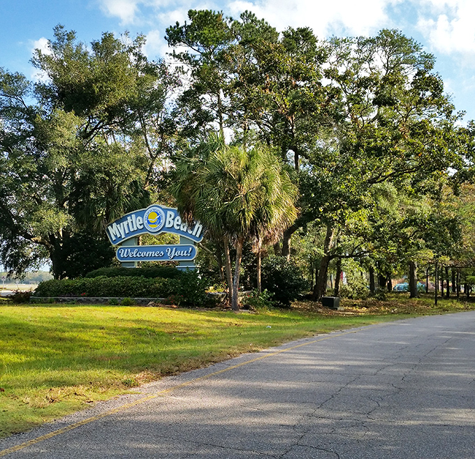 The welcoming committee at Myrtle Beach State Park doesn't need neon lights to impress—just towering pines and natural charm.