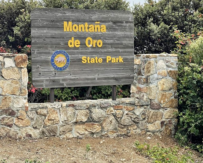 The entrance sign promises gold, and Monta&ntilde;a de Oro delivers&mdash;though its treasures come in sunsets, wildflowers, and memories rather than precious metals.