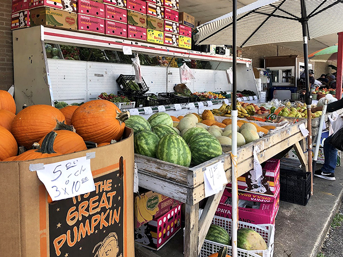 Farm-fresh finds that put supermarket produce to shame. Those pumpkins aren't just decorative—they're autumn's ambassadors.