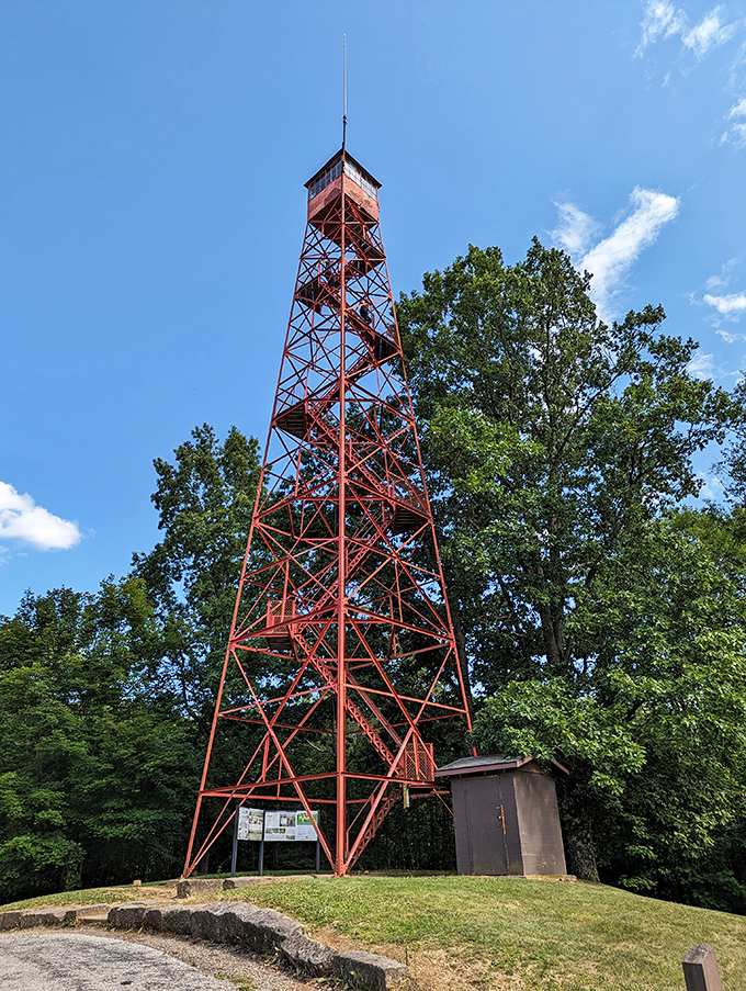 The fire tower reaches skyward like a rusty Eiffel Tower in miniature&mdash;climb it for views that'll make your Instagram followers actually jealous for once.