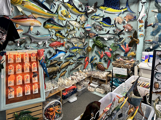 The underwater gallery where Florida's marine life gets immortalized in vibrant colors. Finding Nemo was never this decorative!