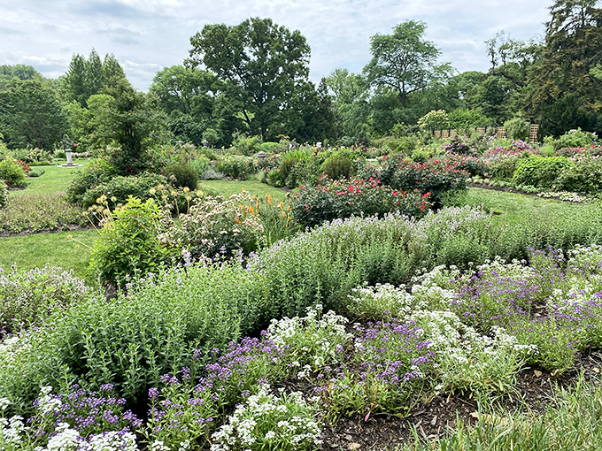 A painter's palette exploded into real life. These perennial borders put your neighbor's "award-winning" garden to delightful shame.