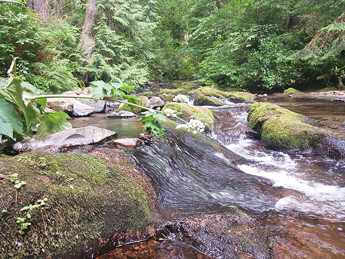 Mother Nature's spa day: Moss-covered rocks and gentle cascades create the kind of tranquility you can't buy in a bottle.