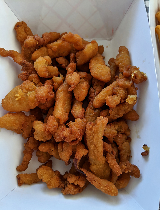 These fried clams aren't just food – they're little nuggets of oceanic joy. Each bite delivers that perfect balance of crispy exterior and tender clam within.