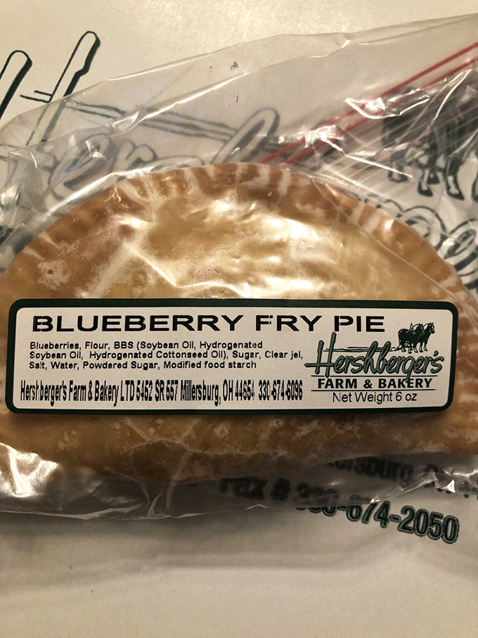 The blueberry fry pie: portable perfection that makes you wonder why we ever bothered with round pies in the first place.