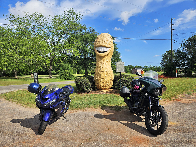 Surrounded by perfectly manicured shrubs, this 13-foot nutty celebrity has better landscaping than most suburban homes.