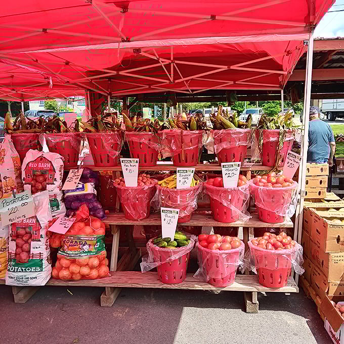 Nature's candy store! These tomatoes didn't travel across three continents to reach you&mdash;they probably came from just down the road.