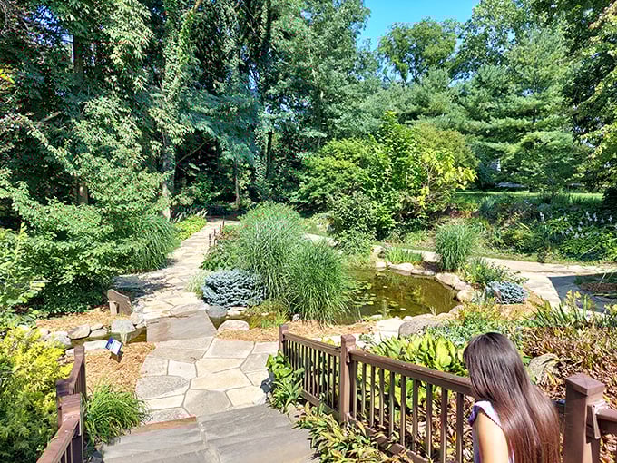 Krider Garden's pathways invite you to digest both lunch and life's simple pleasures, one meticulously maintained step at a time.