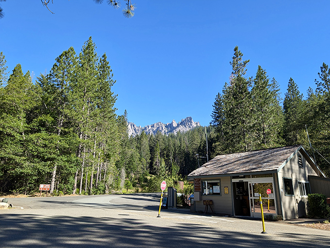 The unassuming entrance station – nature's version of the velvet rope, where adventure awaits just beyond that humble wooden structure.