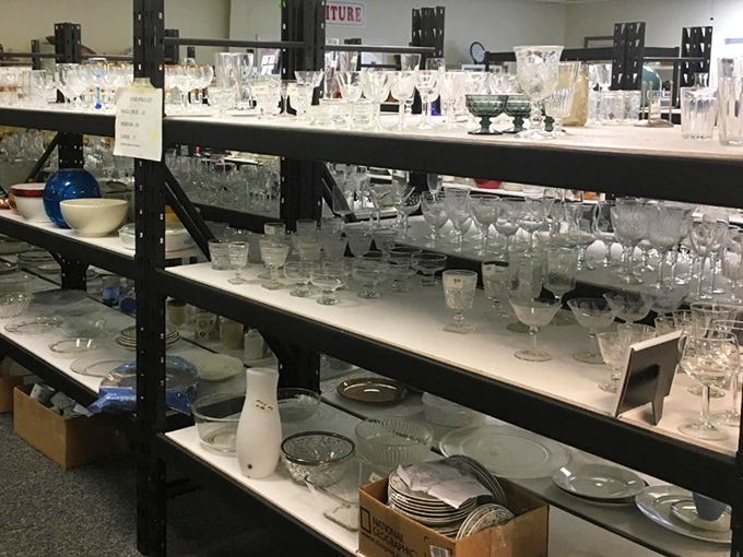 Crystal kingdom! These shelves of glassware sparkle with potential, each piece waiting to elevate your next dinner party from "nice" to "wow, when did you get fancy?"