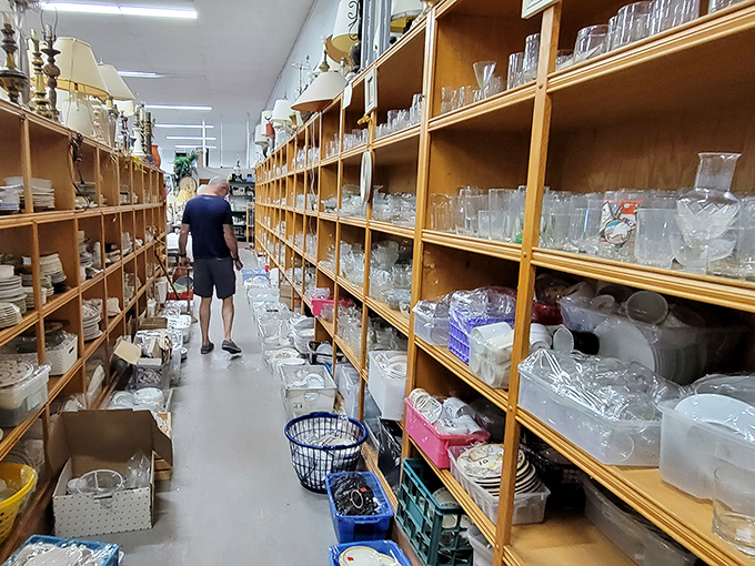The glassware aisle: where someone's discarded wedding crystal becomes your sophisticated dinner party upgrade for pocket change.