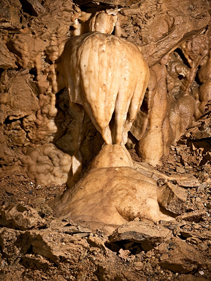 Nature's chandeliers hang from the ceiling, proof that the most patient artist creates the most spectacular masterpieces.