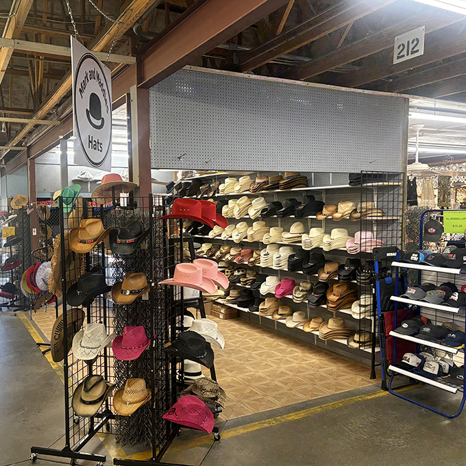 Hat paradise where everyone finds their perfect crown. Whether you're channeling Indiana Jones or protecting your scalp from Florida's relentless sunshine.