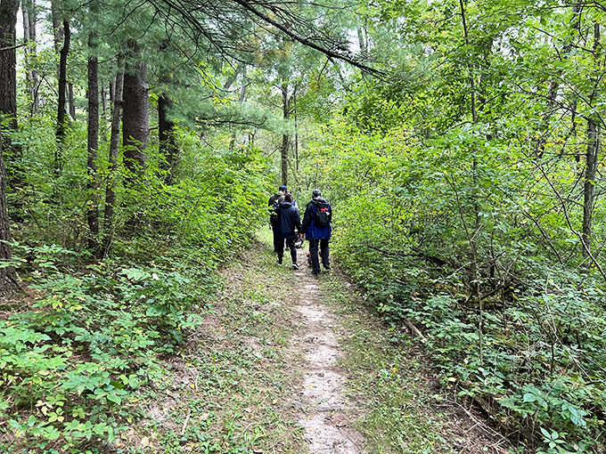 Fellow explorers navigate the trail ahead, proving you're never too old for a good adventure. The best Zoom meeting you'll attend all year.