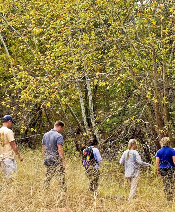 Fall colors frame the cottonwoods like nature's own autumn festival, no pumpkin spice latte required for admission.