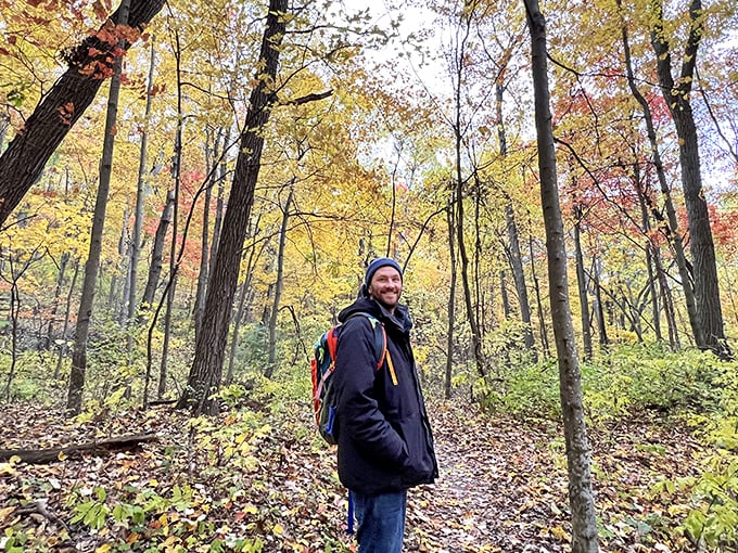Autumn's golden palette transforms ordinary hikes into extraordinary journeys. Even the trees seem to be showing off for visitors.
