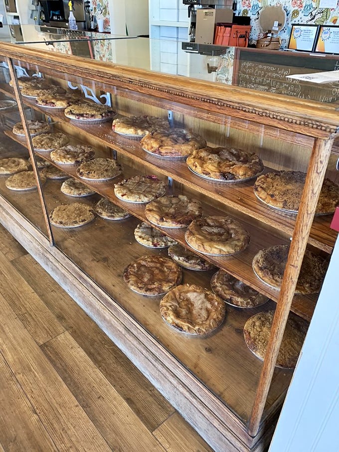 The display case &ndash; a museum of edible art where fruit, cream, and nut masterpieces await adoption by hungry patrons.
