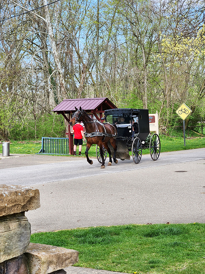 Nothing says "slow down and enjoy life" quite like watching a horse-drawn buggy clip-clop past a bicycle crossing sign. The ultimate traffic calming device.