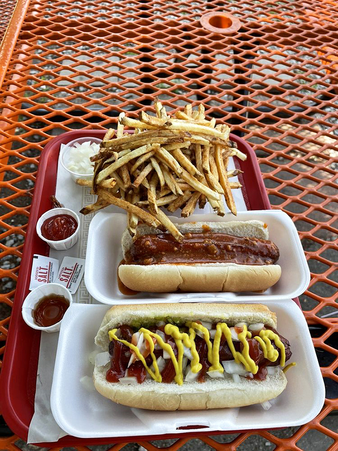 The perfect outdoor feast: two hot dogs with contrasting personalities, accompanied by fries so crispy they deserve their own fan club.