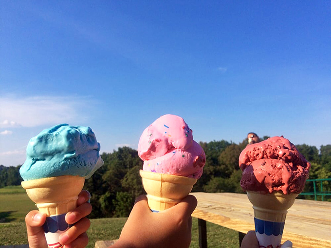 Colorful cones held against the backdrop of Pennsylvania greenery &ndash; proof that ice cream tastes better with a view.