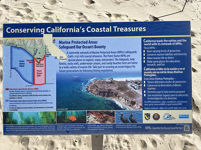 Nature's instruction manual sits right on the sand. The ocean writes its own rules, and this sign reminds us we're just grateful visitors in its home.