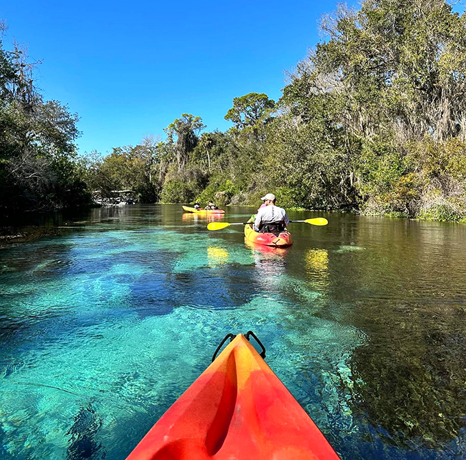 Kayaking through Weeki Wachee's pristine waters&mdash;where your paddle barely disturbs the surface and your worries don't stand a chance.