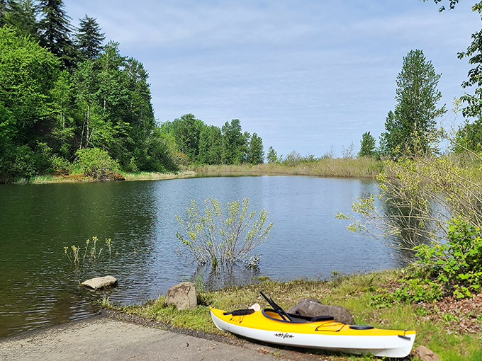 A sunny day, a yellow kayak, and water so serene it looks Photoshopped. Some therapy sessions come with paddles instead of couches.