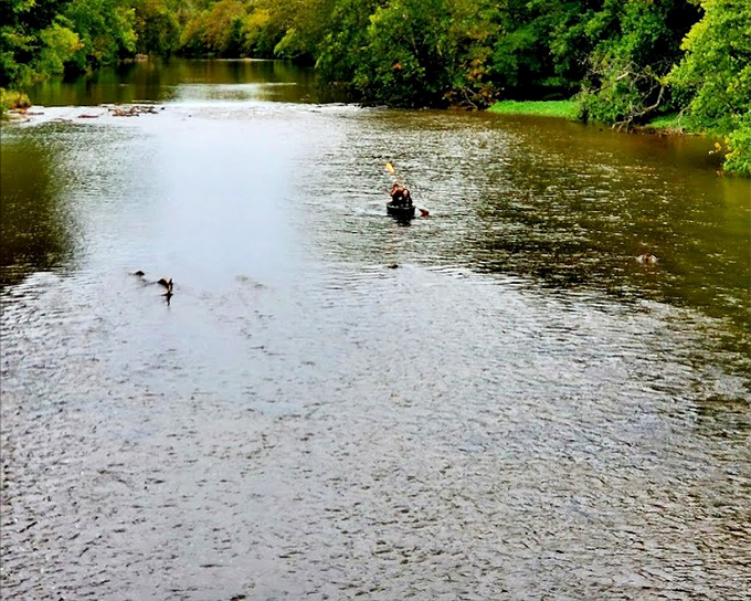 Kayakers drift beneath like they've discovered Pennsylvania's best-kept secret, which honestly, they kind of have.