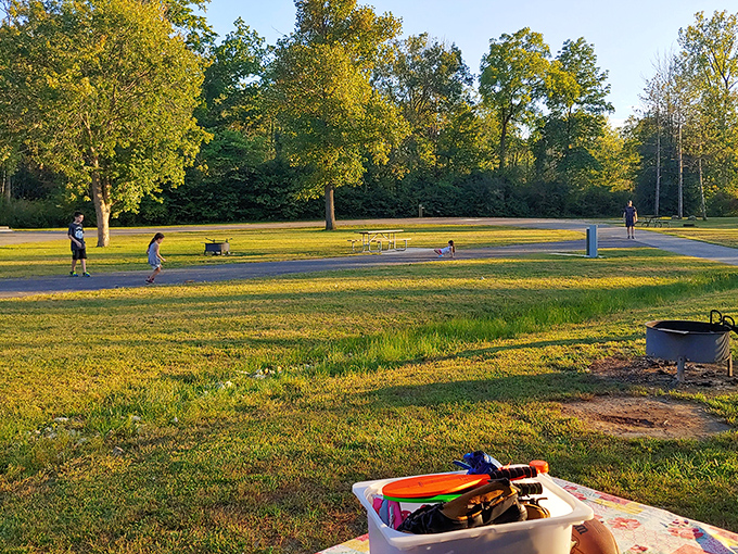 Pure childhood joy unleashed, where swings fly higher and laughter echoes across the water.