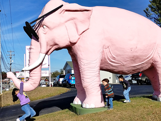 The joy of discovery crosses generations as Ellie welcomes visitors of all ages, creating memories that will outlast any theme park adventure.