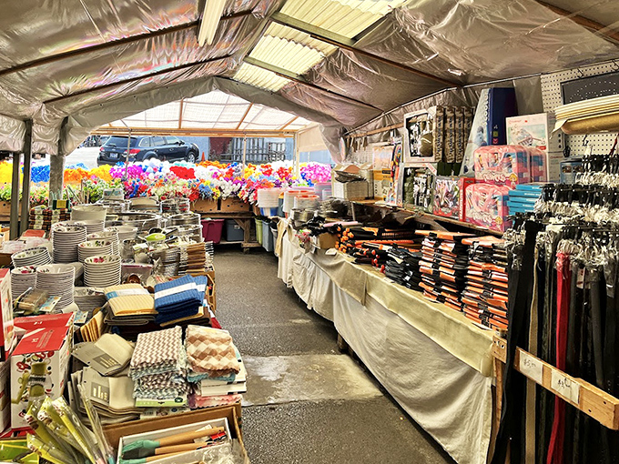 Kitchenware paradise awaits, where that missing potato masher from 1987 might just make its triumphant return appearance.