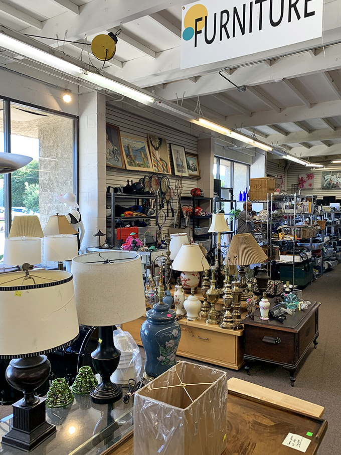 The lamp section glows with possibility&mdash;each one a potential statement piece for your living room or the perfect reading companion for lazy Sunday afternoons.