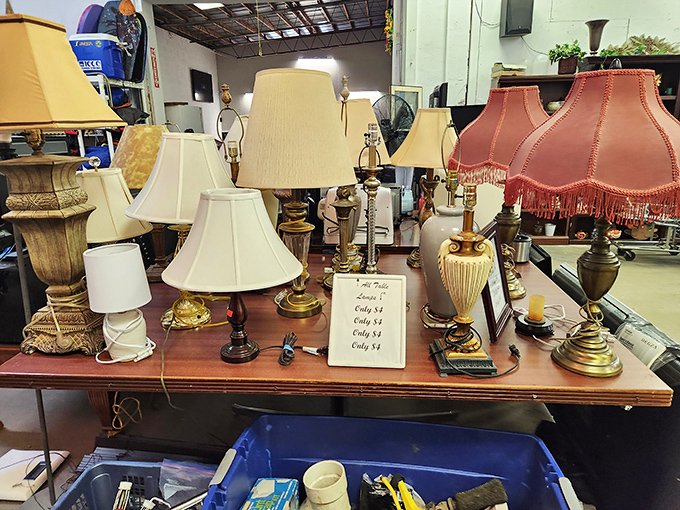 Lampshades with personality line up like contestants in a beauty pageant. That vintage fringed shade is practically begging to class up your reading nook.
