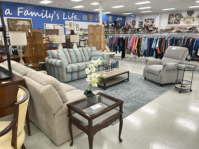Not just furniture, but conversation pieces with stories to tell. That blue striped sofa has hosted more interesting discussions than most talk shows.