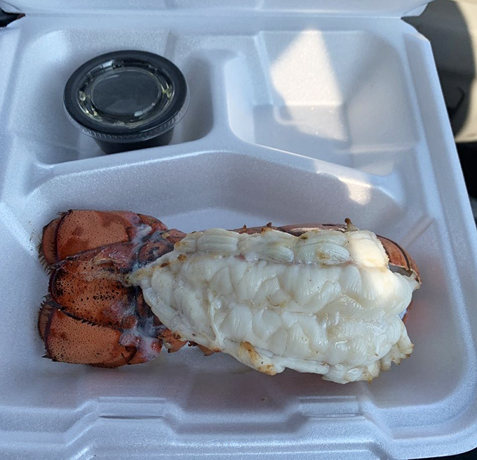 Lobster tail this perfect makes you understand why people once considered it food for royalty. Simple, sweet, and worth every bit of the effort.