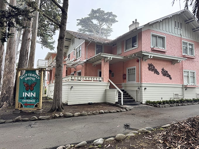 The Butterfly Grove Inn&mdash;where humans pay for lodging while monarchs get the same views for free. Nature's ultimate upgrade.