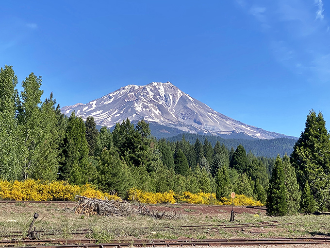 Mount Shasta isn't just a mountain &ndash; it's nature's way of showing off what it can do with a little volcanic ambition.