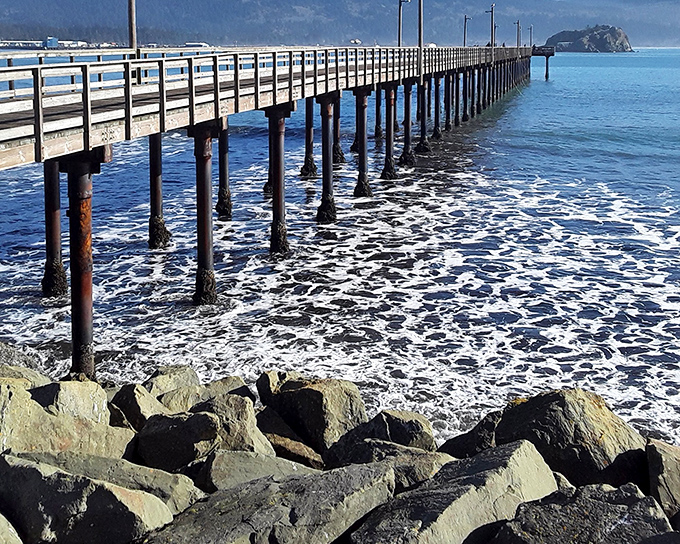 This wooden pier stretches toward the horizon like a runway for dreams, inviting both contemplative walks and hopeful fishing expeditions.