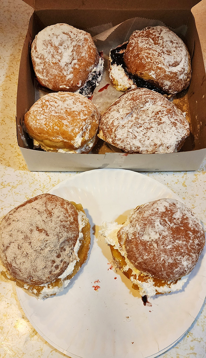 These powdered paczki aren't just pastries—they're edible time machines to your Polish grandmother's kitchen, if you were lucky enough to have one.