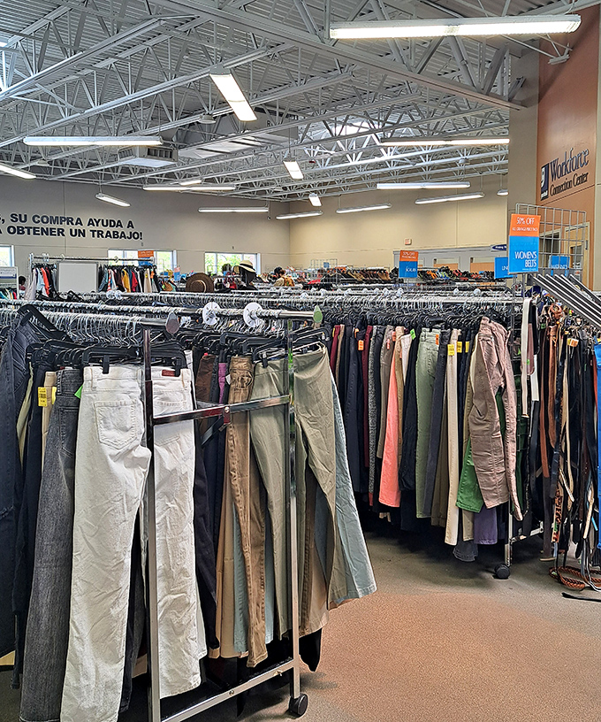 The pants section stands at attention like soldiers in formation, each pair with stories from previous lives, ready for new adventures.