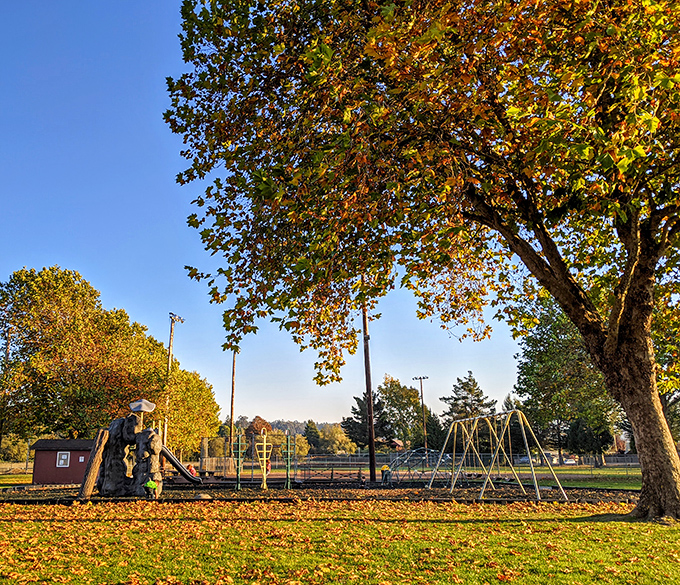 Fall paints Fortuna's parks with golden hues, where playground equipment waits patiently for the next generation of small-town dreamers.