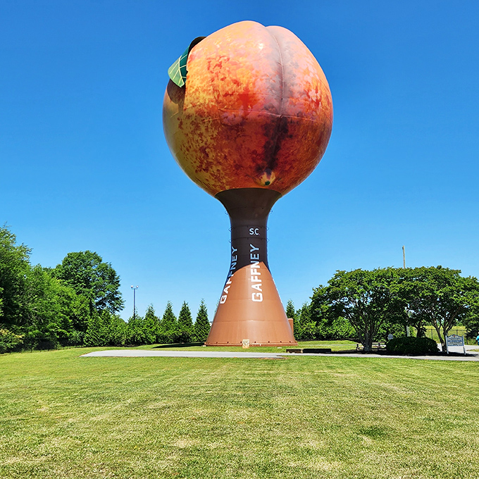 The Peachoid's vibrant colors pop against the manicured lawn of Millwood Park. A million gallons of water never looked so appetizing.